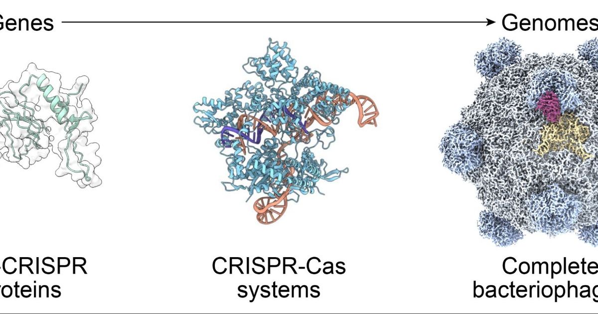AI Designs First Functional Synthetic Genomes, Pioneering New Era in ...